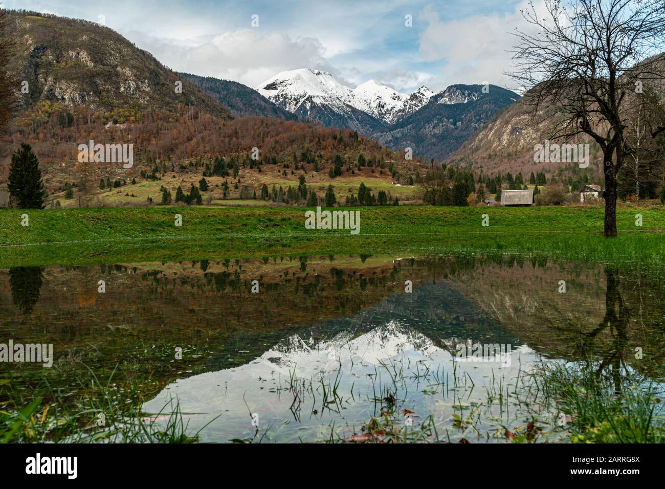 Alps with snow reflected in water on late fall Stock Photo - Alamy