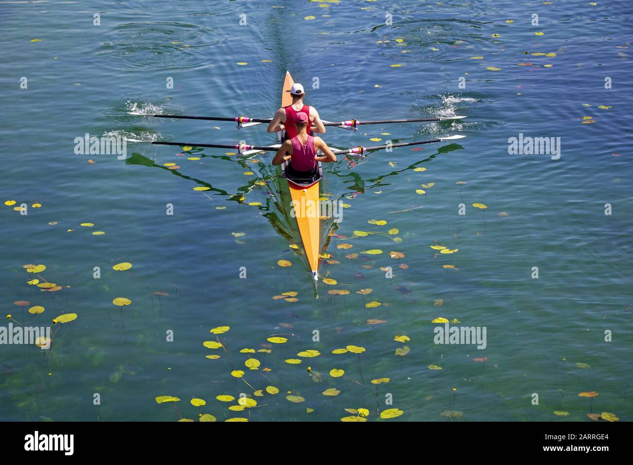 Two young athletes rowing team on turquoise green lake Stock Photo - Alamy