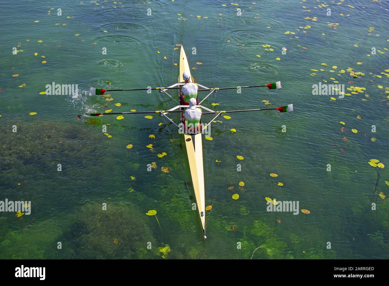 Two young athletes rowing team on turquoise green lake Stock Photo - Alamy