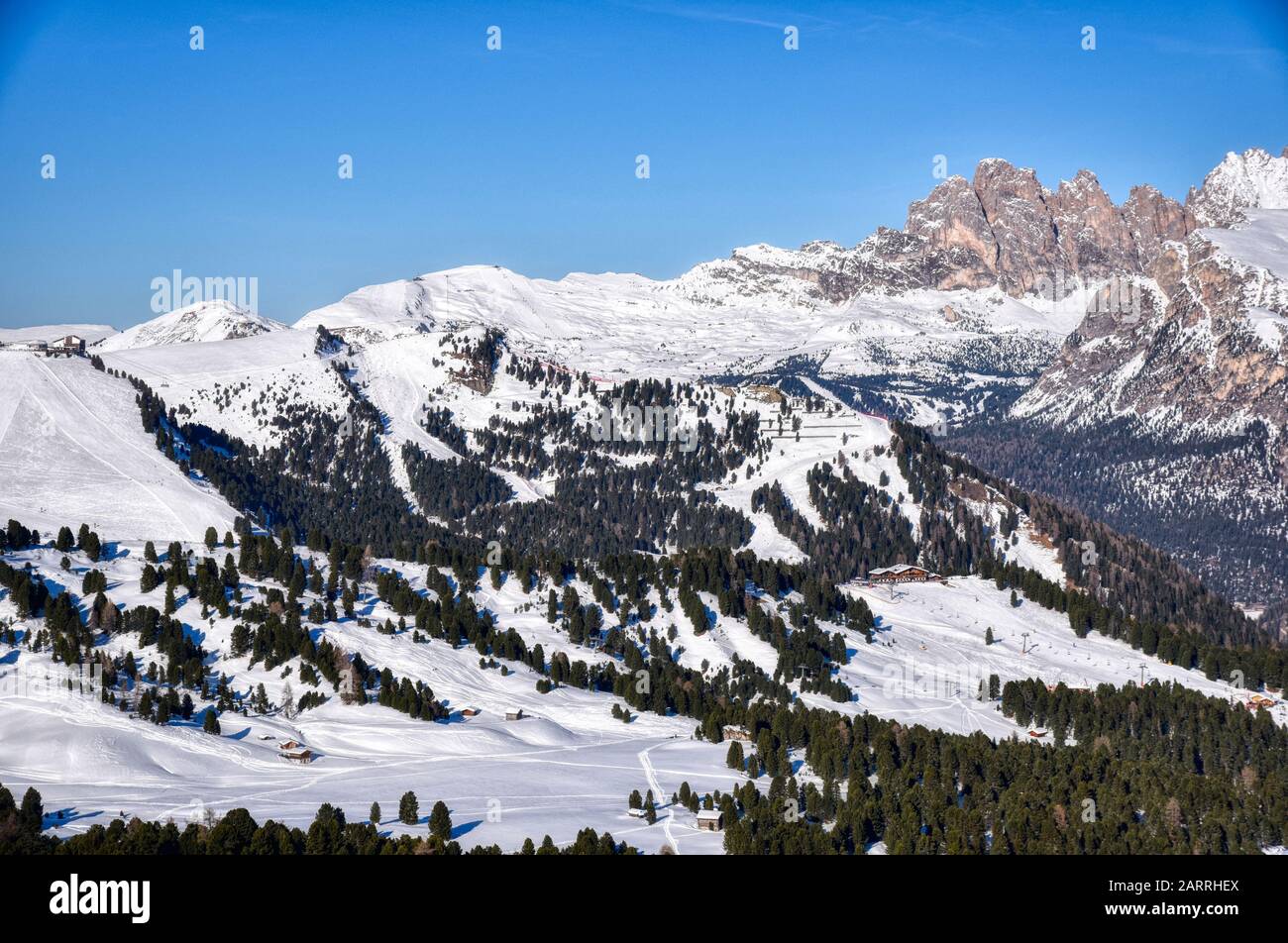 Snowy forest below the Sella Pass Stock Photo - Alamy