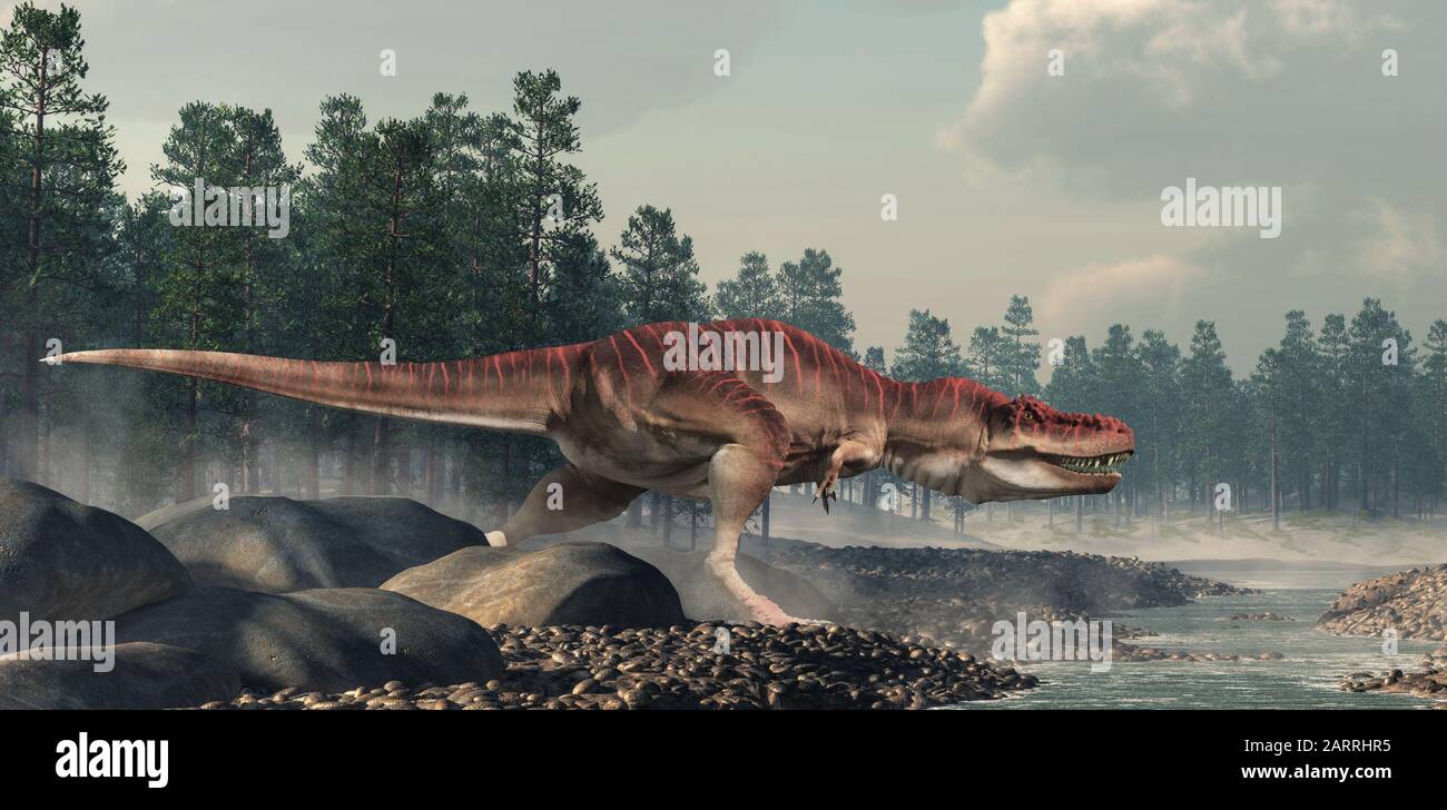 Tarbosaurus was a carnivorous theropod dinosaur, a type of tyrannosaur ...