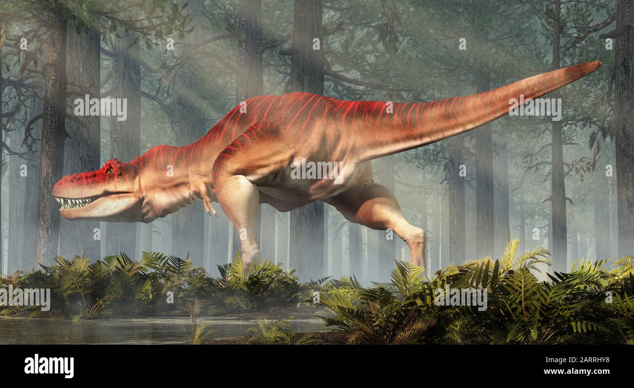 Tarbosaurus was a carnivorous theropod dinosaur, a type of tyrannosaur ...