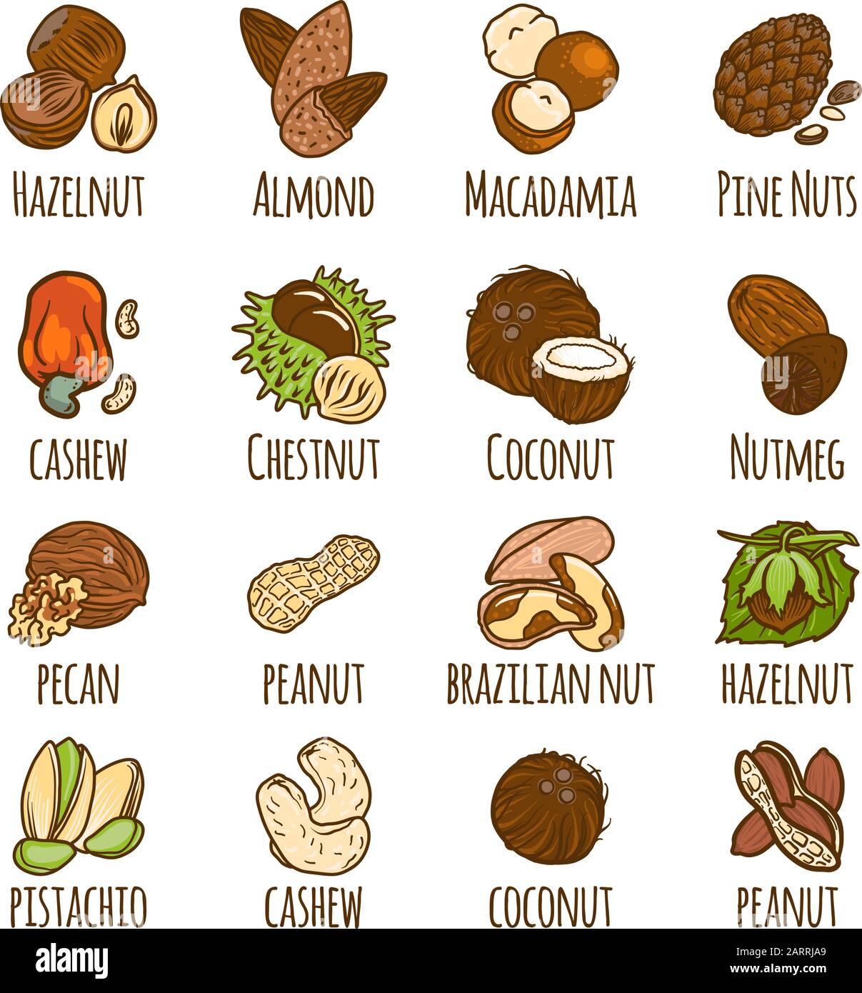 Nut icons set. Hand drawn set of nut vector icons for web design Stock ...
