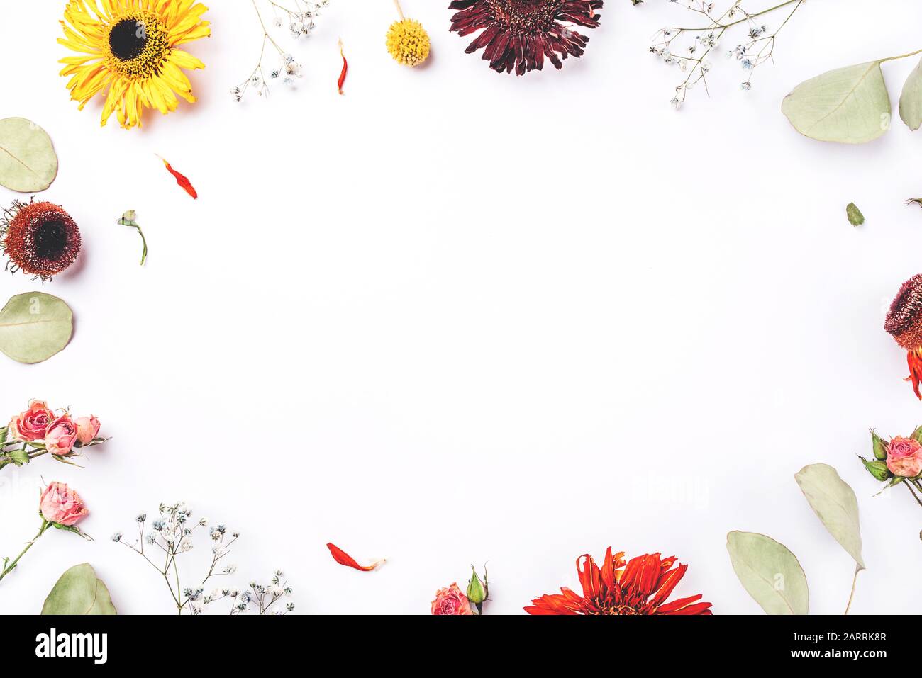 Frame of dry flowers on white background Stock Photo - Alamy