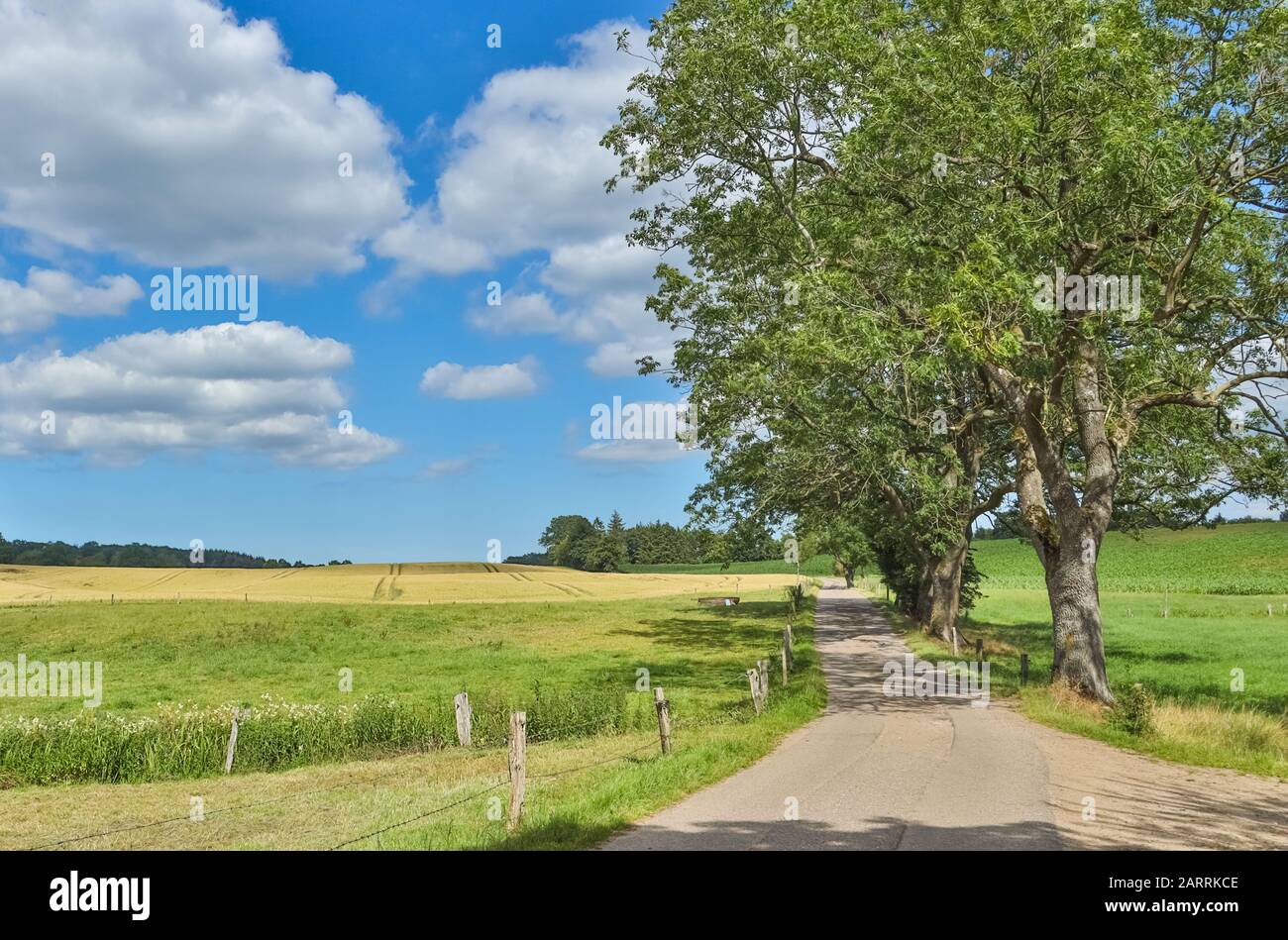 Everyday escape hi-res stock photography and images - Alamy