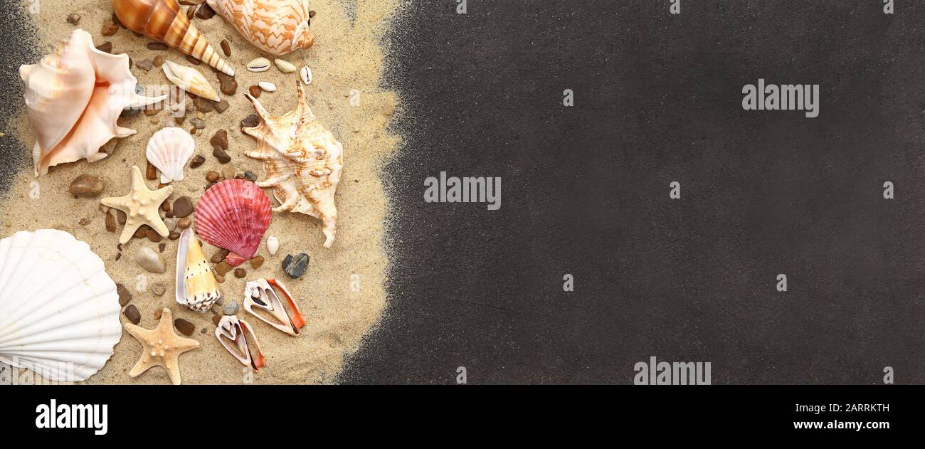 Beautiful sea shells, starfish and sand on grey background with space ...