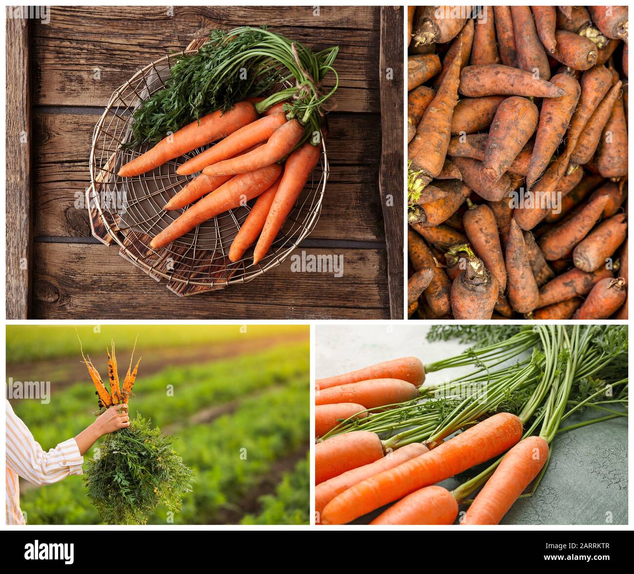 Photos carrot hi-res stock photography and images - Alamy