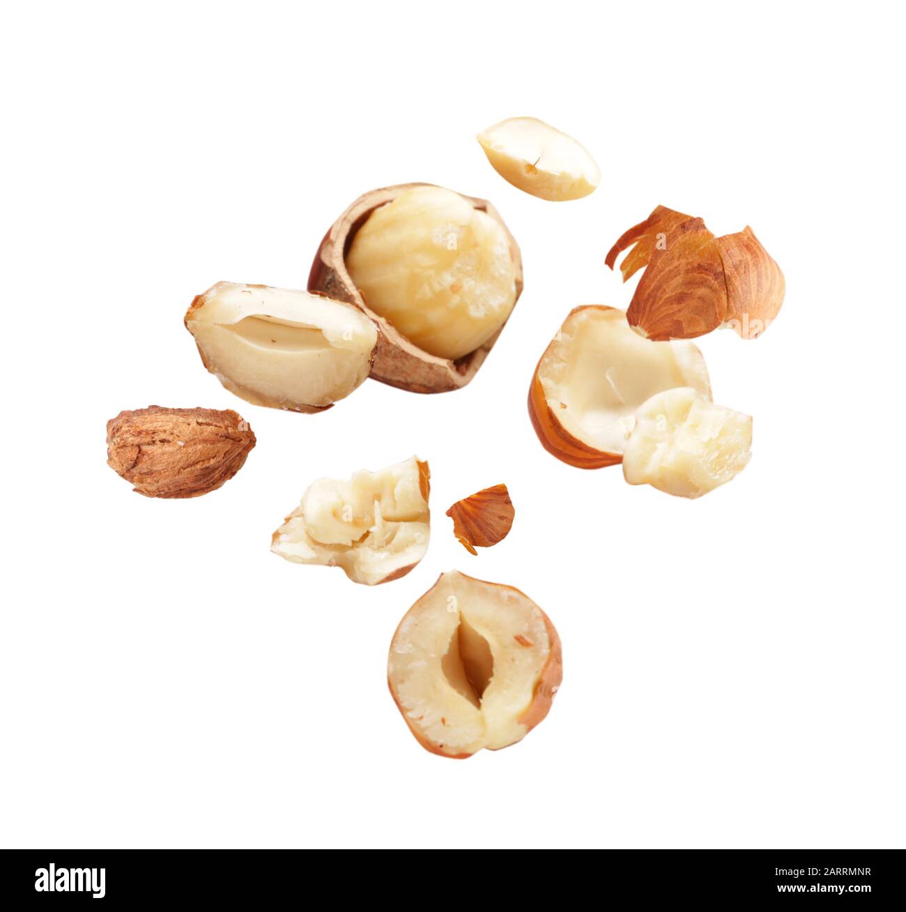 Falling hazelnut Cut Out Stock Images & Pictures - Alamy