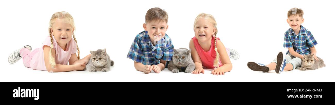 Little children with cute cats on white background Stock Photo - Alamy