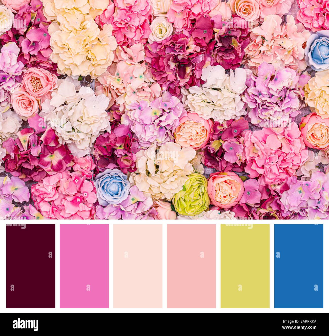 Beautiful blooming flowers as background. Different color patterns ...