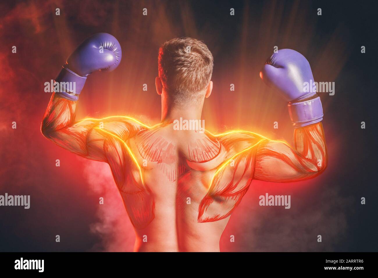 Sporty male boxer with drawn muscles of his back and arms on dark ...