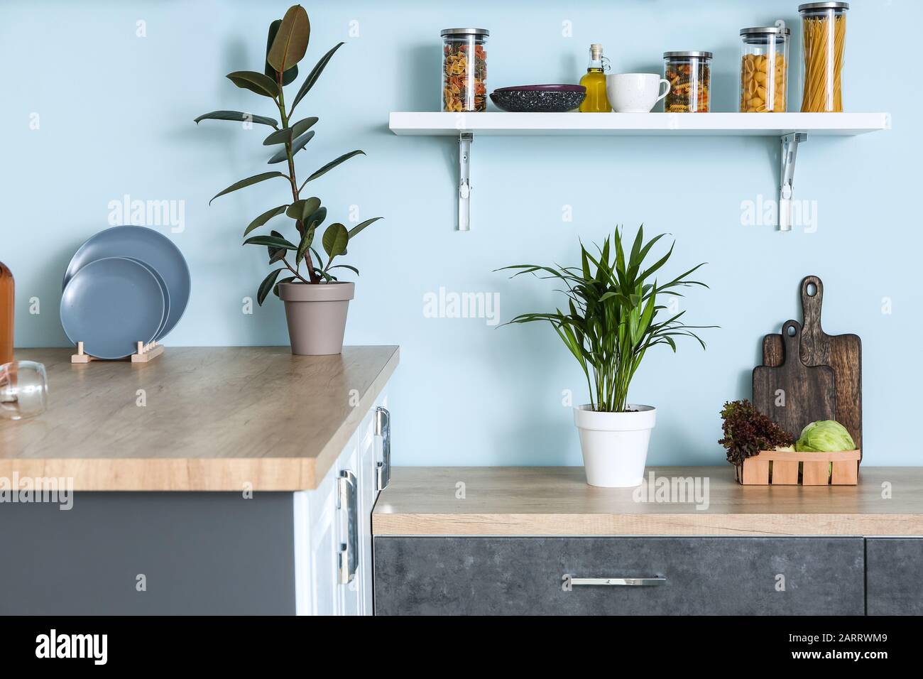 Interior of beautiful modern kitchen with houseplants Stock Photo - Alamy