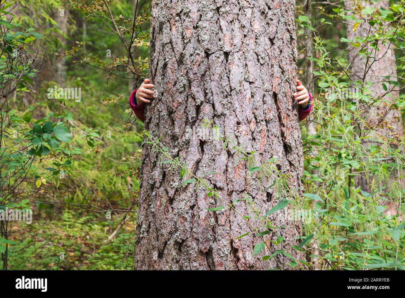Child hug tree hi-res stock photography and images - Alamy