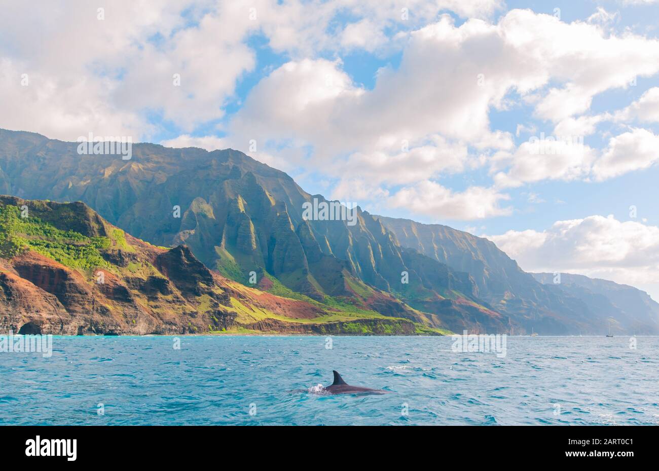 Dolphin Na Pali Coast Stock Photo - Alamy