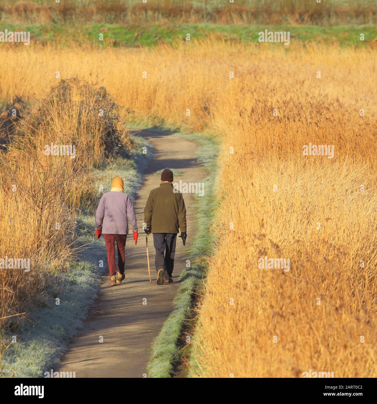 Devon reed hi-res stock photography and images - Alamy