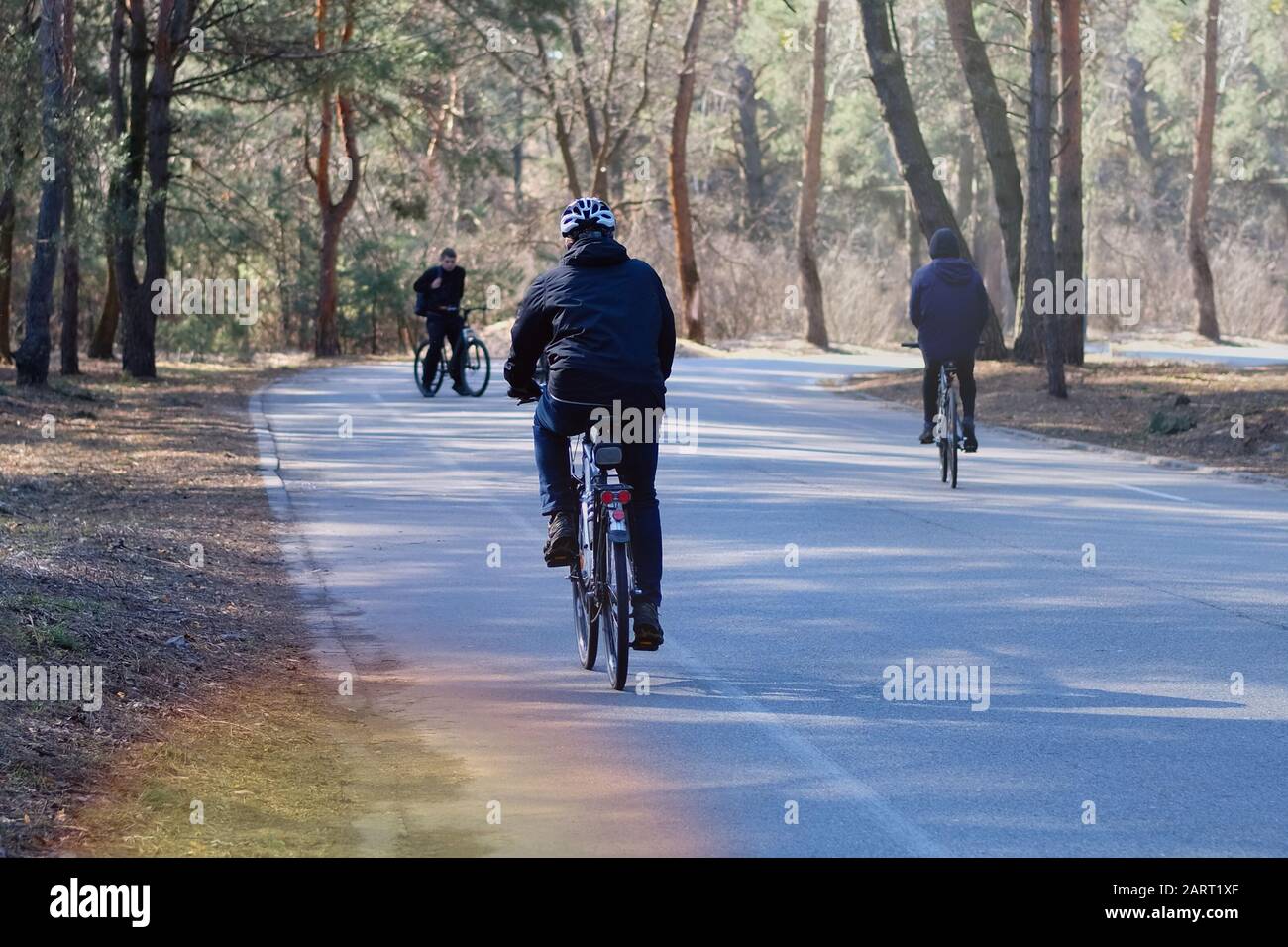 It was raining in the forest among the trees Stock Photo - Alamy