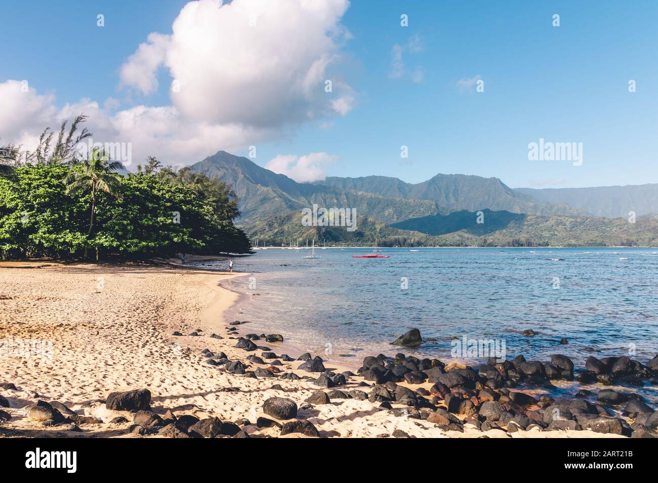 Hanalei Bay Kauai Hawaii Surfing High Resolution Stock Photography and ...