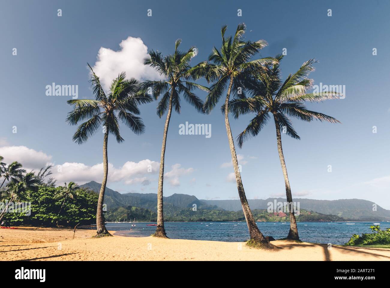 Poa hi-res stock photography and images - Alamy