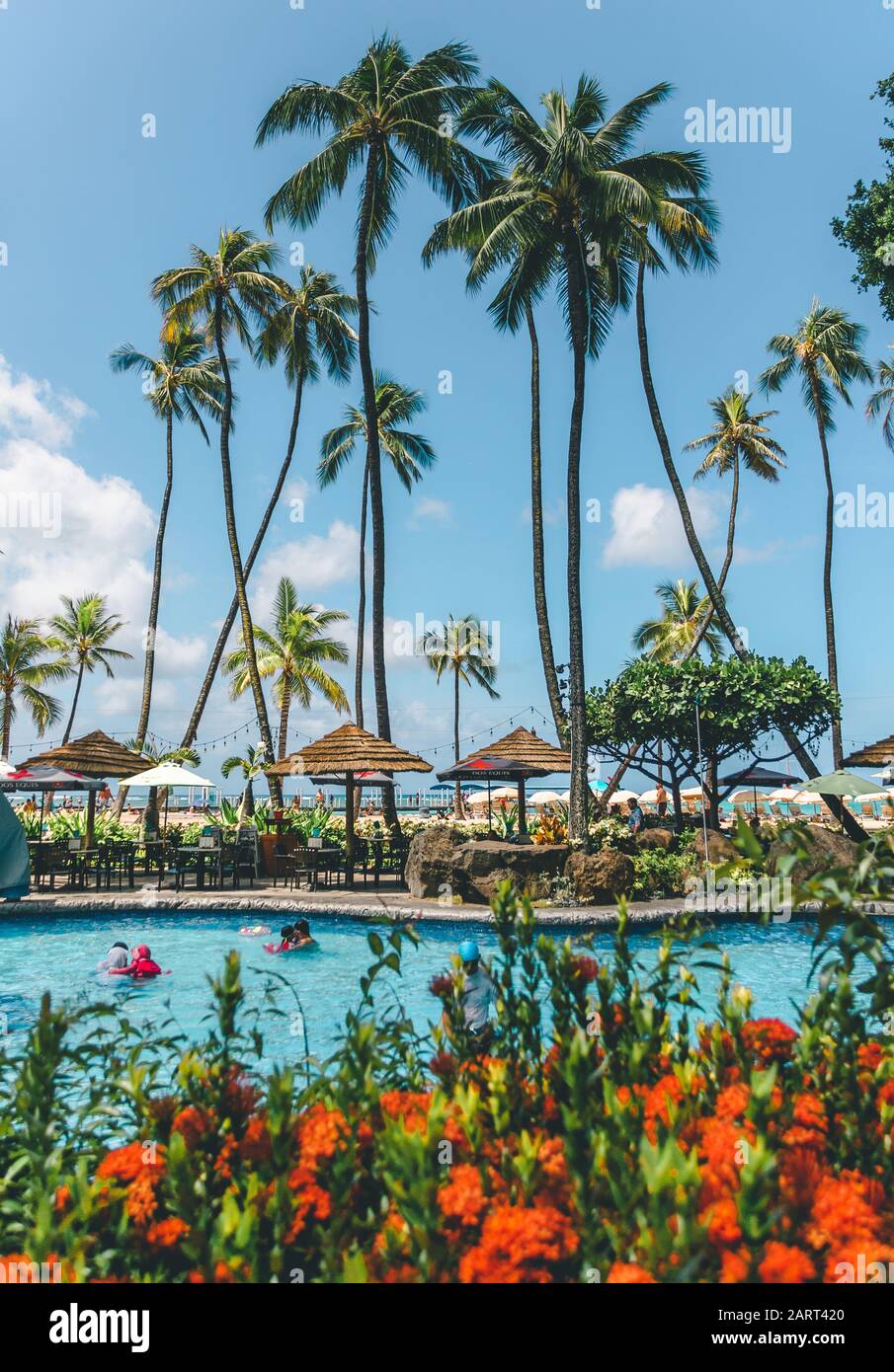 Hawaii beach resort pool Stock Photo - Alamy