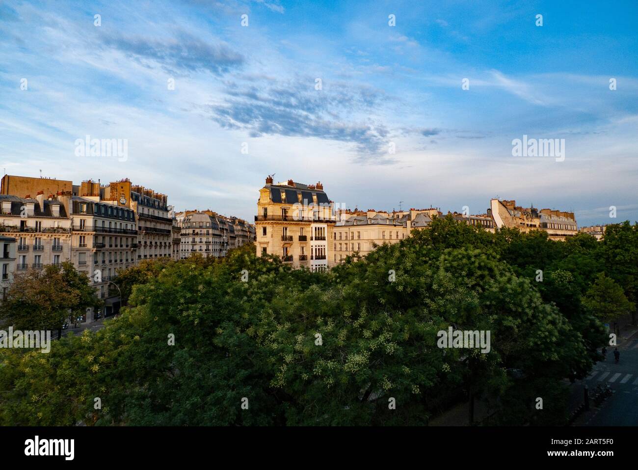 Paris boulevard with trees hi-res stock photography and images - Alamy