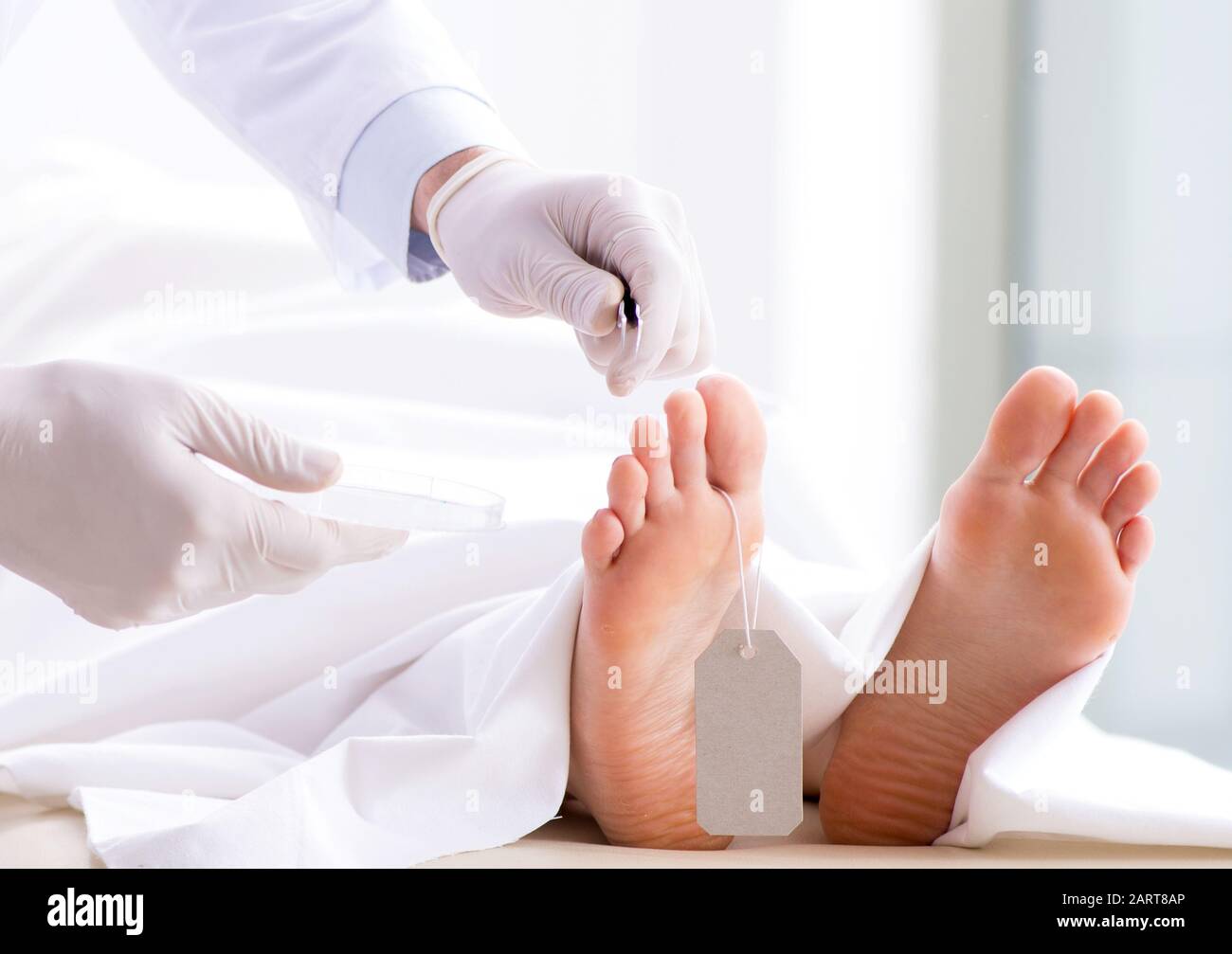 The police coroner examining dead body corpse in morgue Stock Photo - Alamy