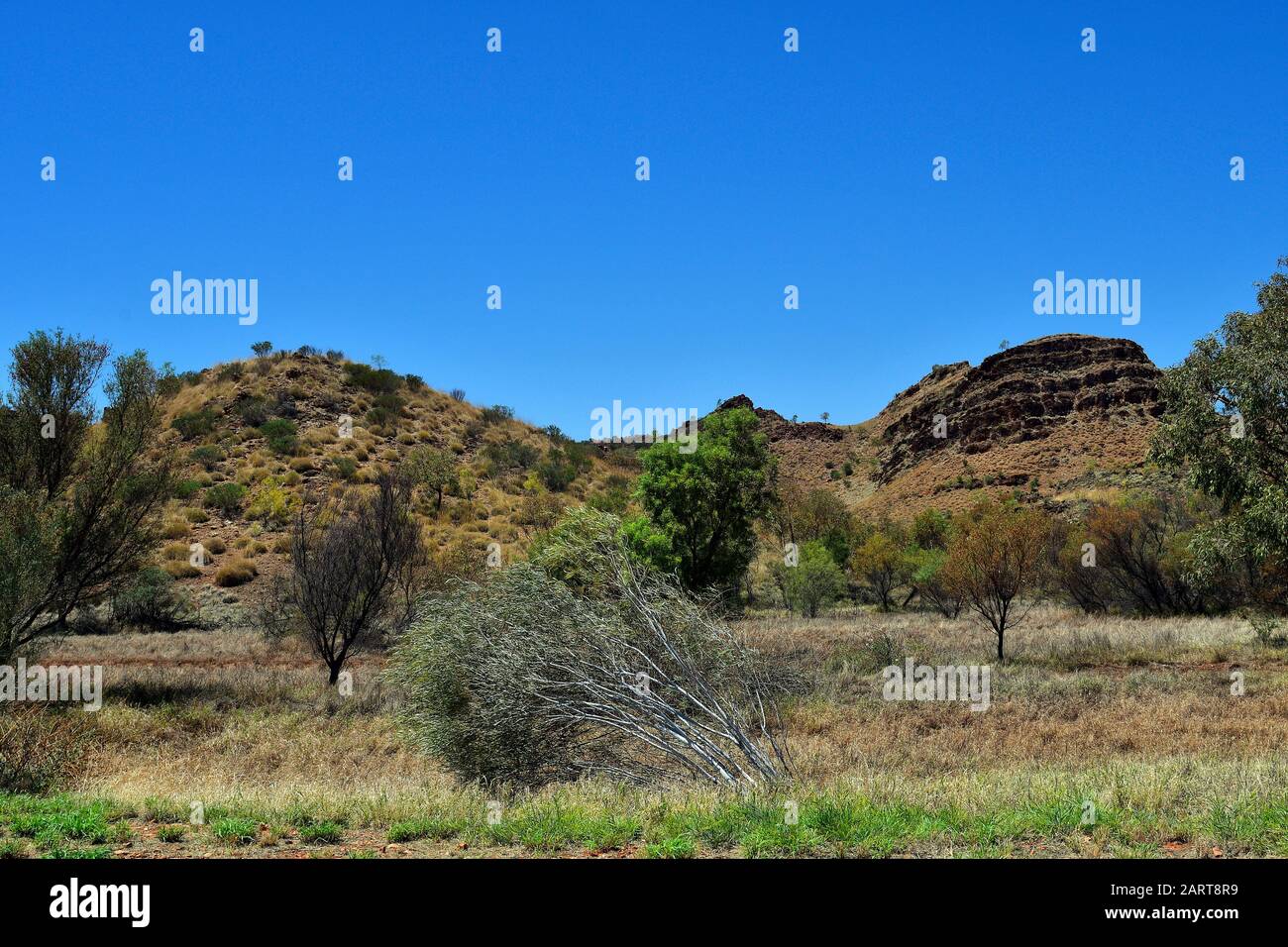 Australia, NT, rock formation in East McDonnell Range national park ...
