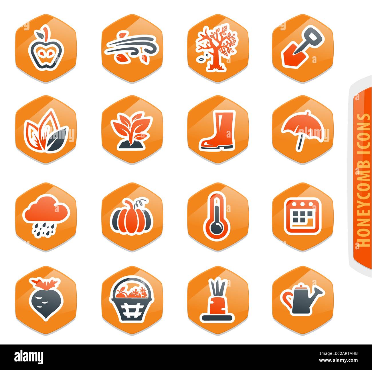 Autumn icons set Stock Vector Image & Art - Alamy