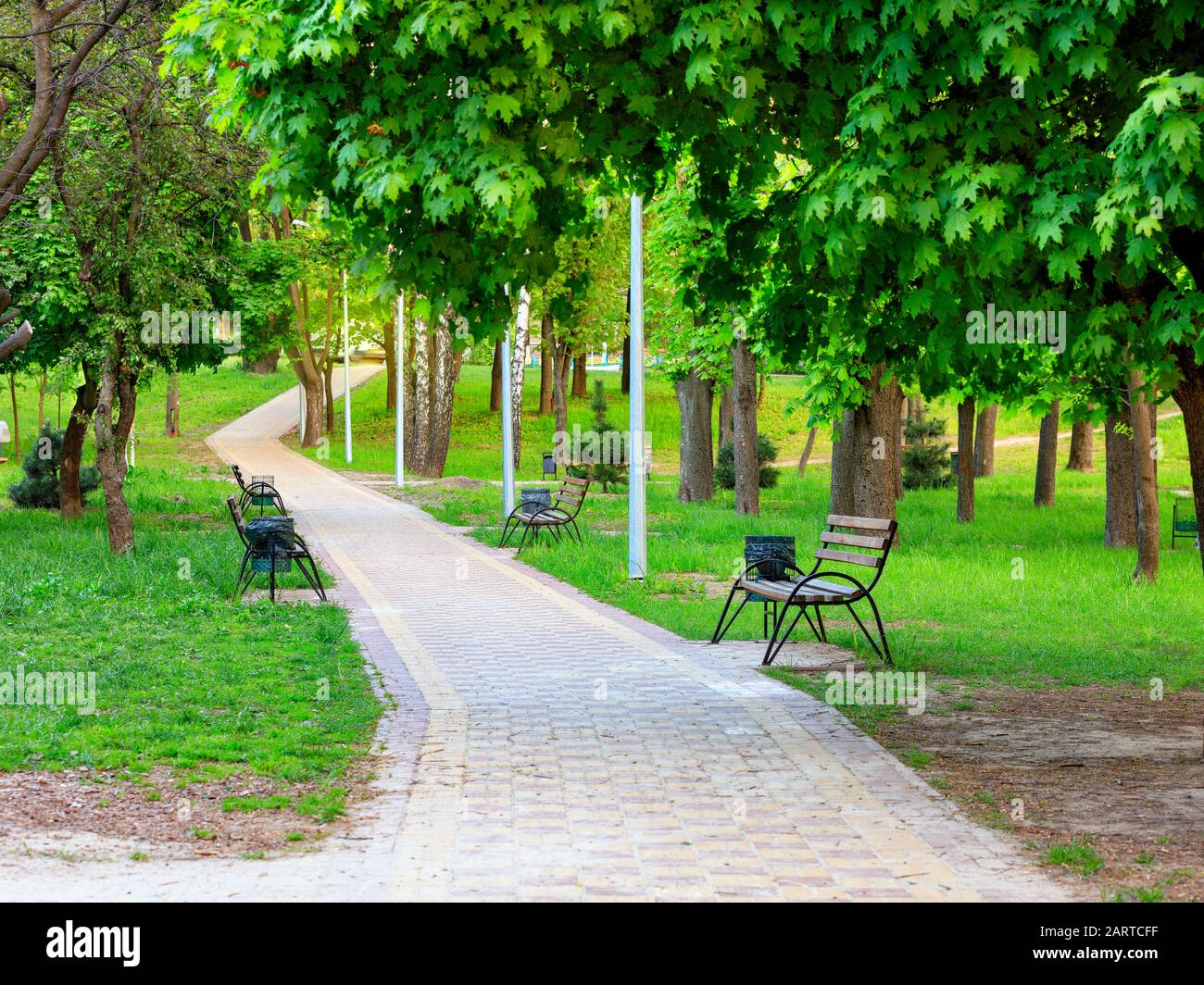 A path paved with multi-colored stone with wooden benches goes into the ...