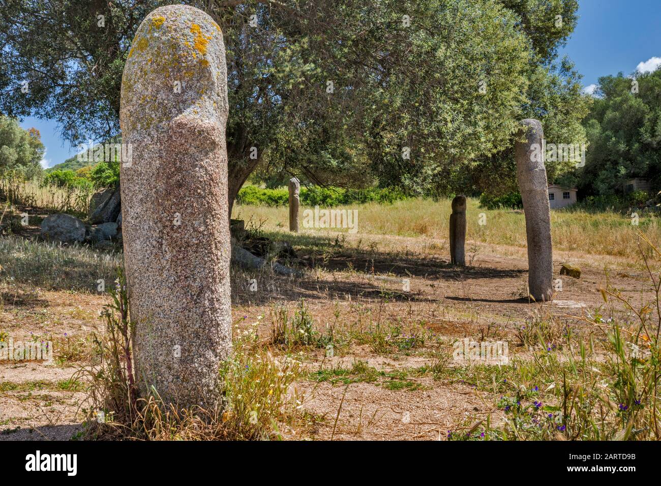 Menhirs, megalithic, bronze age, antropomorphic monuments, ancient ...