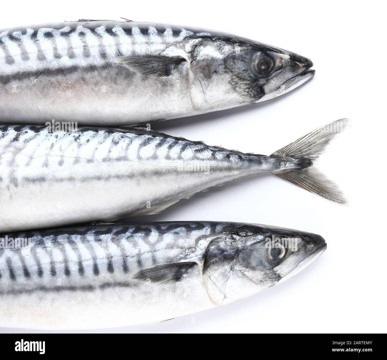 Raw mackerel fish on white background Stock Photo - Alamy