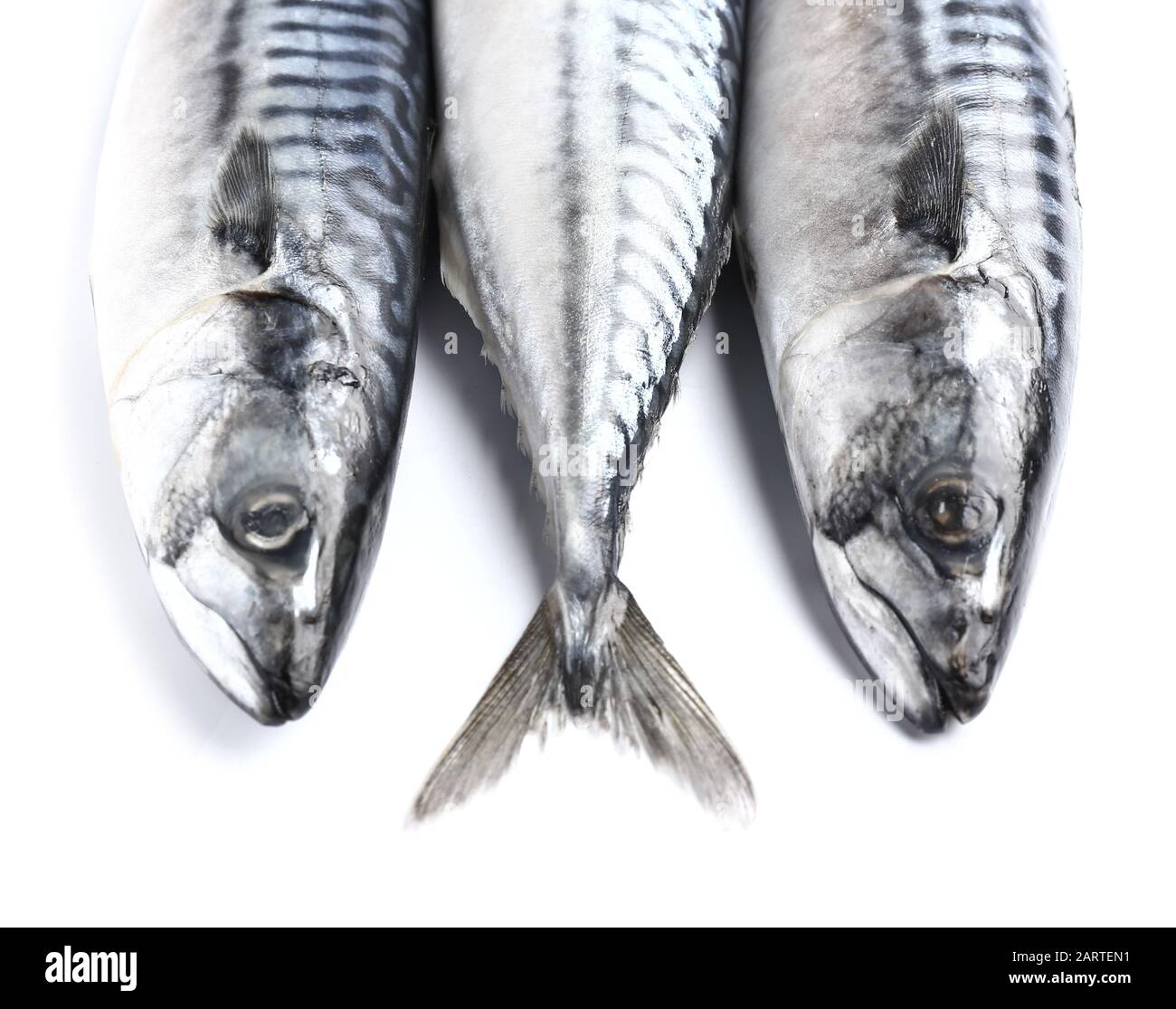 Raw mackerel fish on white background Stock Photo - Alamy