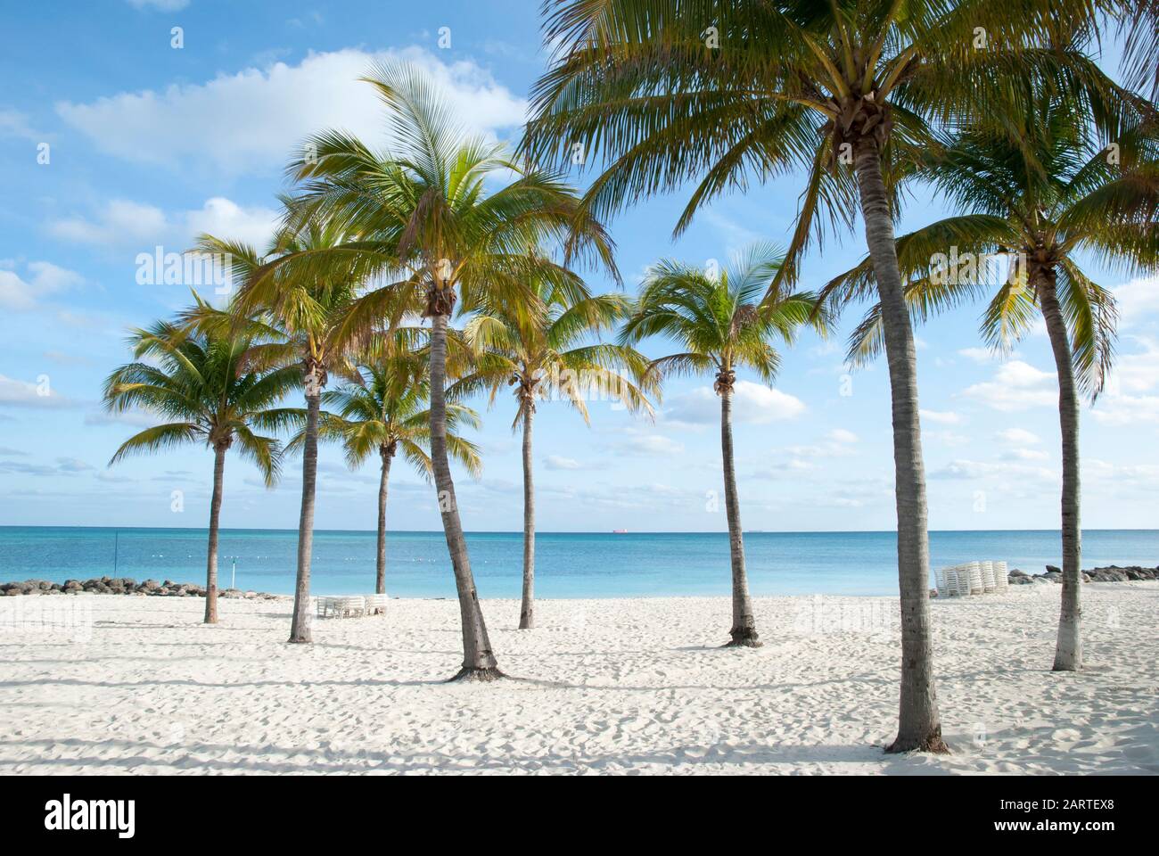The empty Lucaya Beach with palm trees in late afternoon (Freeport ...