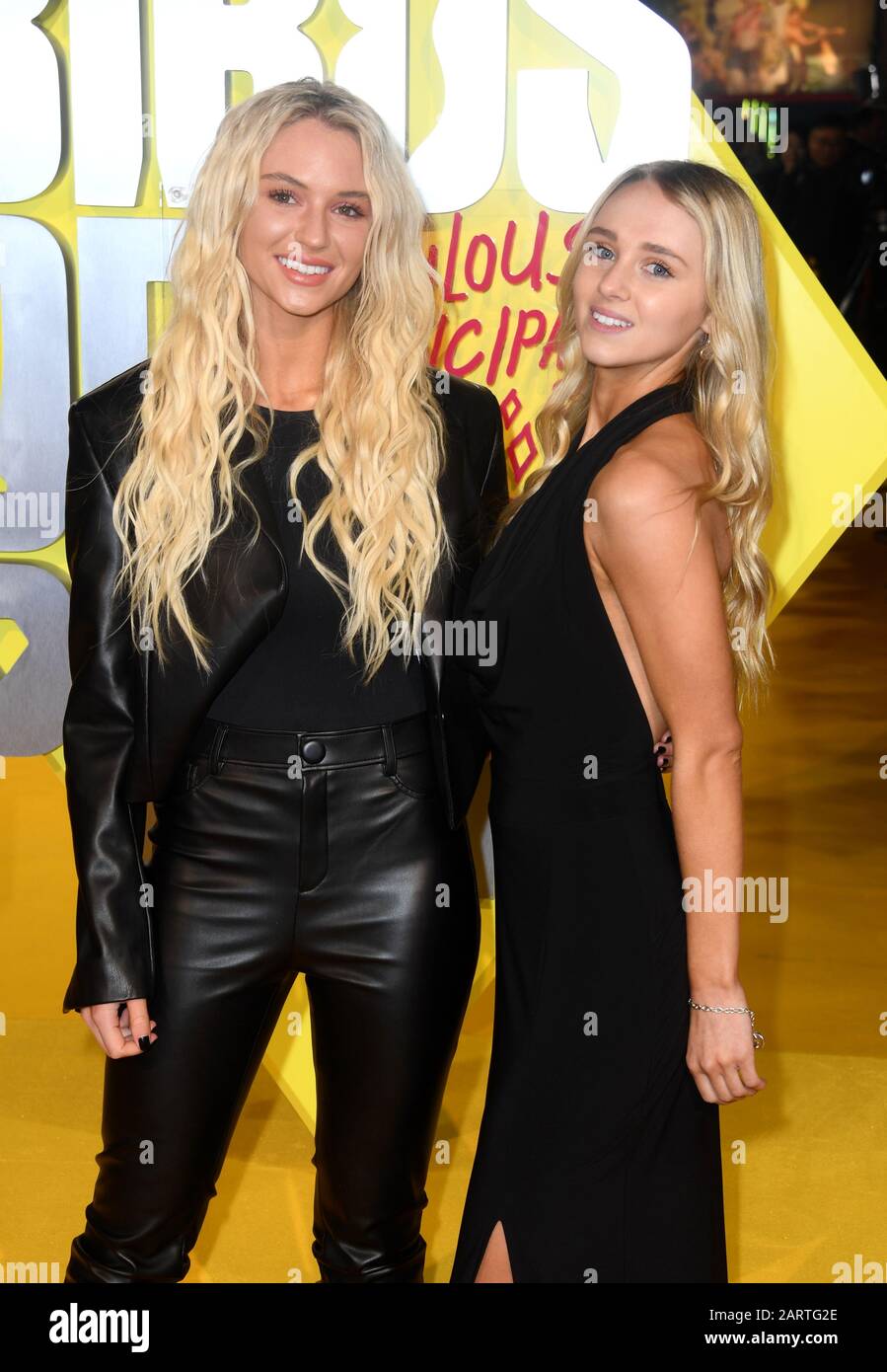 Lucy Donlan and Emily Donlan attending the world premiere of Birds of ...