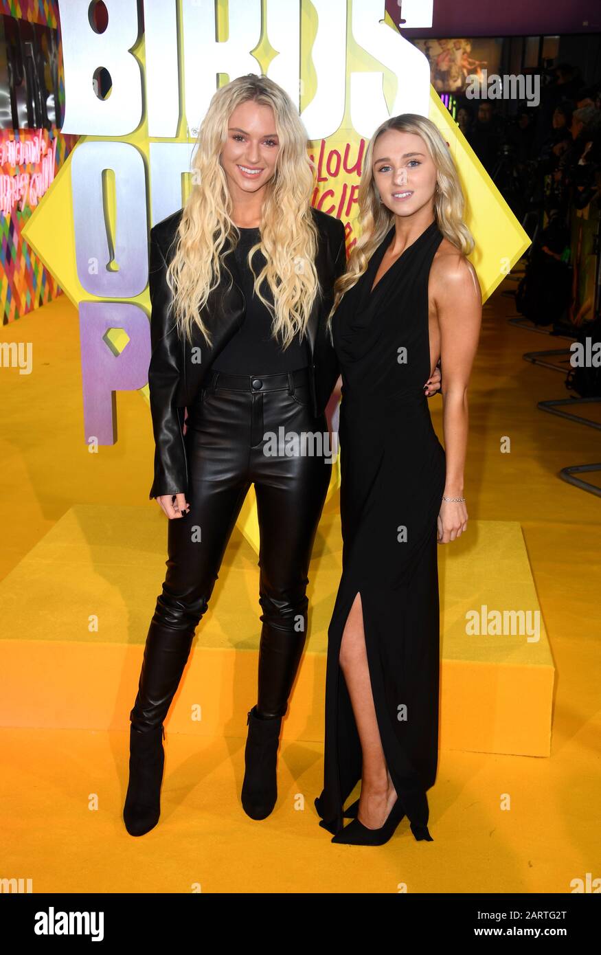 Lucy Donlan and Emily Donlan attending the world premiere of Birds of ...