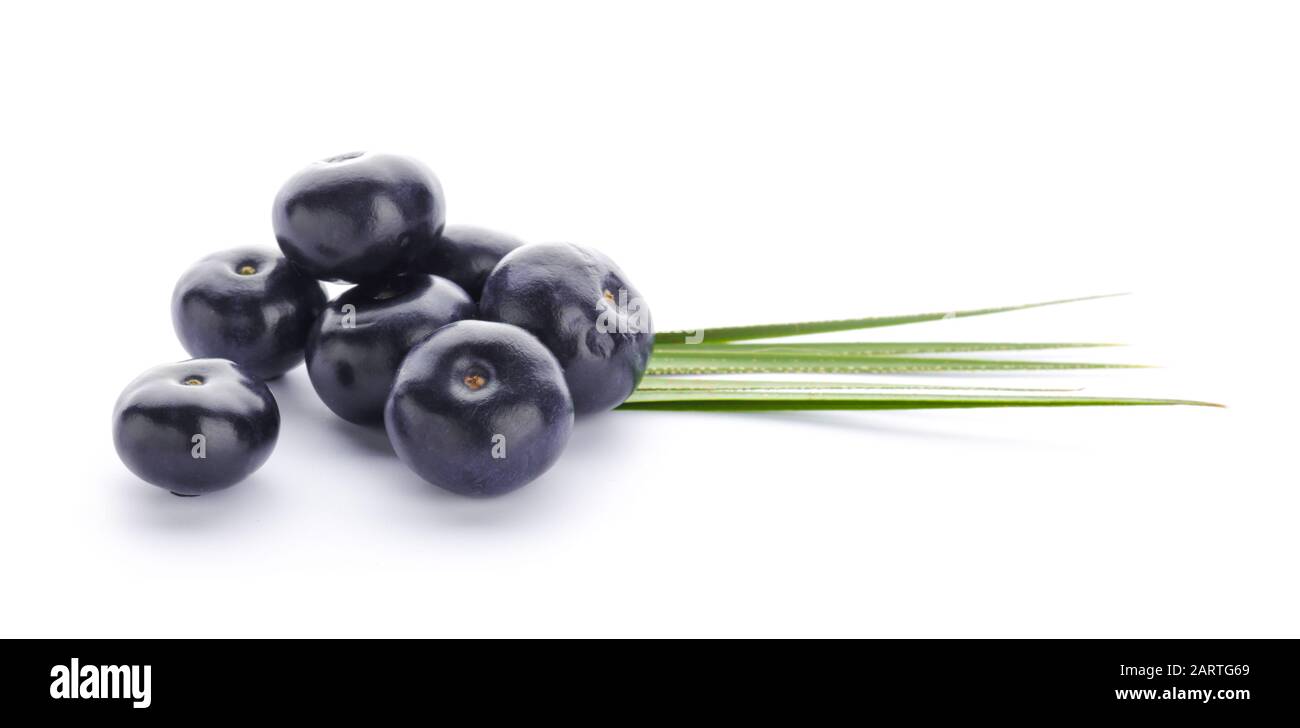 Fresh acai berries on white background Stock Photo - Alamy
