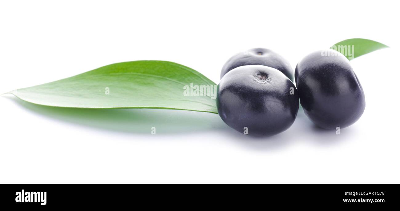 Fresh acai berries on white background Stock Photo - Alamy