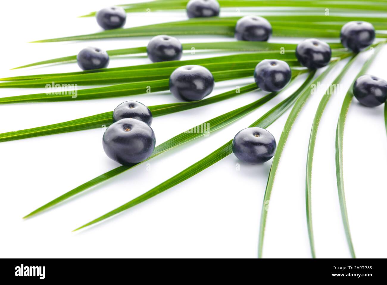 Fresh acai berries with tropical leaf on white background Stock Photo ...
