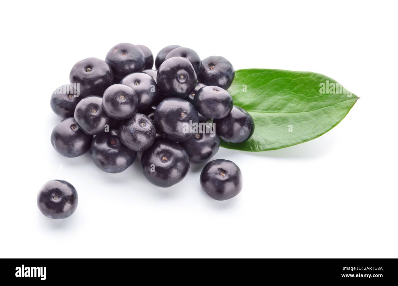 Pile fresh acai berries hi-res stock photography and images - Alamy
