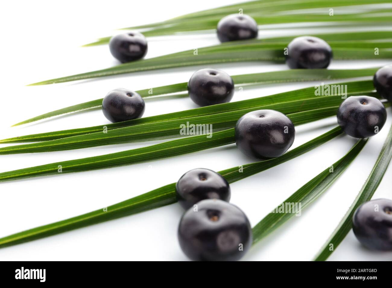 Fresh acai berries with tropical leaf on white background Stock Photo ...