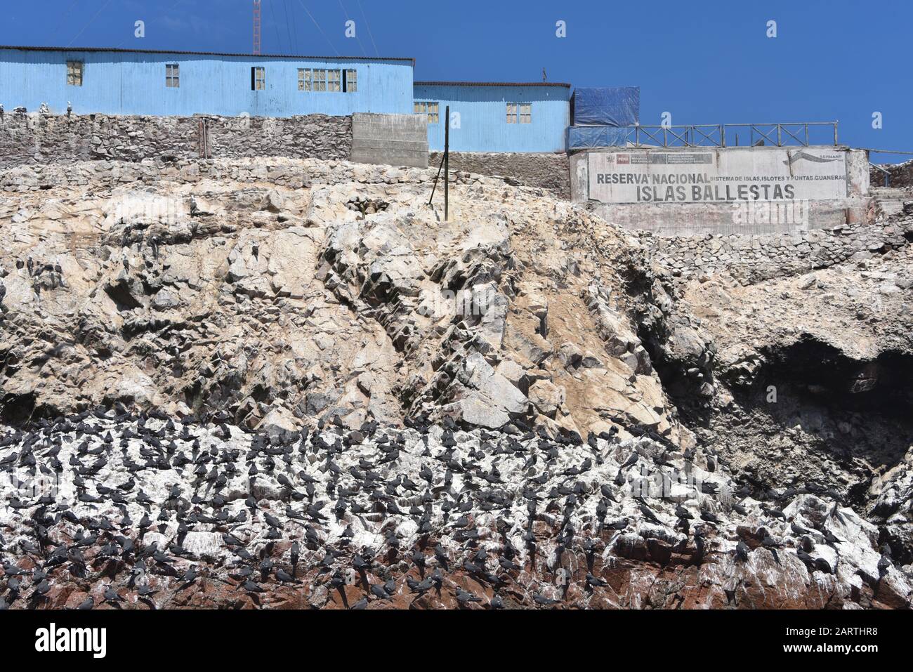 Jan 25, 2020 - Paracas, Peru: Sea bird colonies and Guano (seabird ...