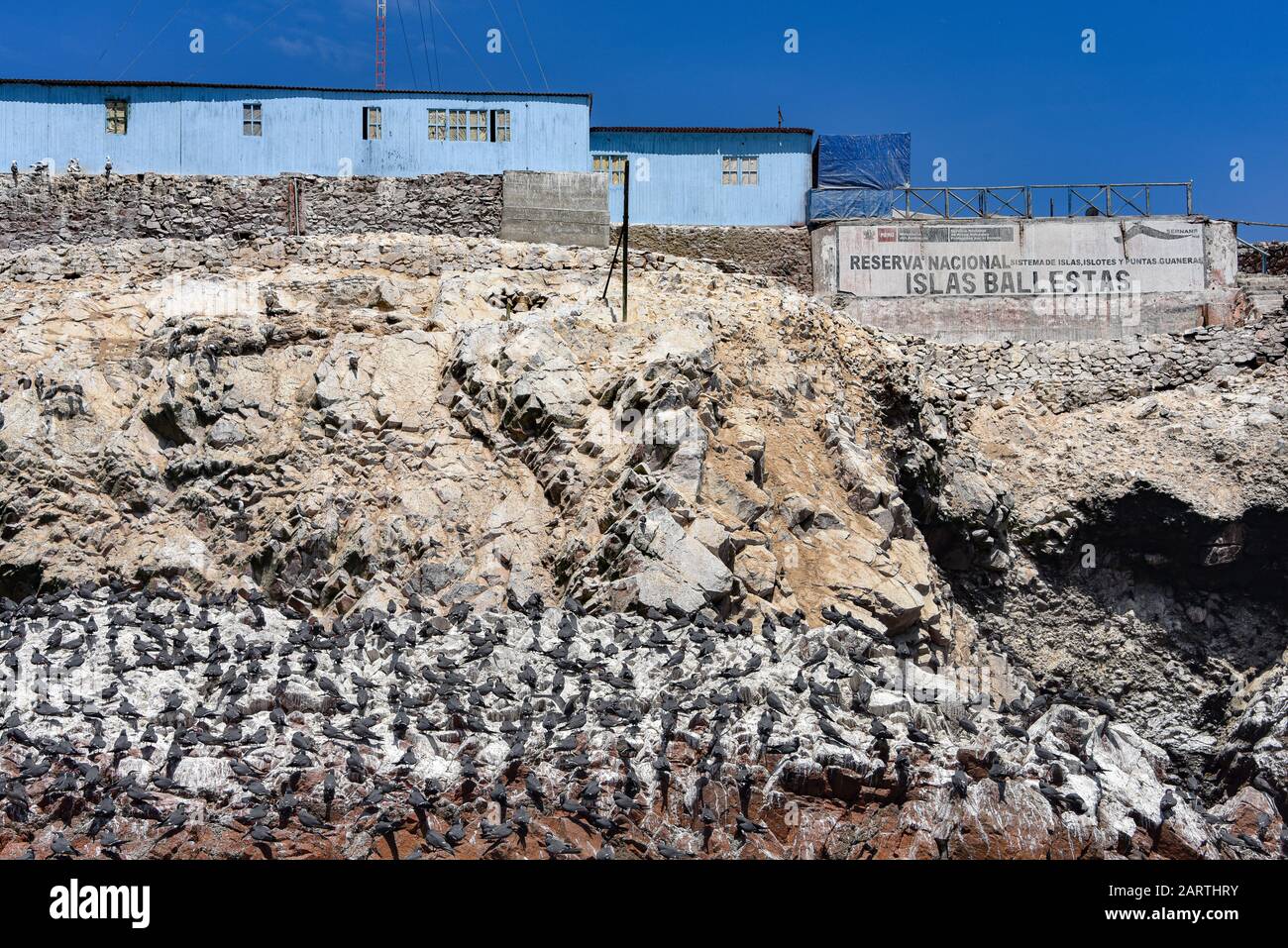 Jan 25, 2020 - Paracas, Peru: Sea bird colonies and Guano (seabird ...