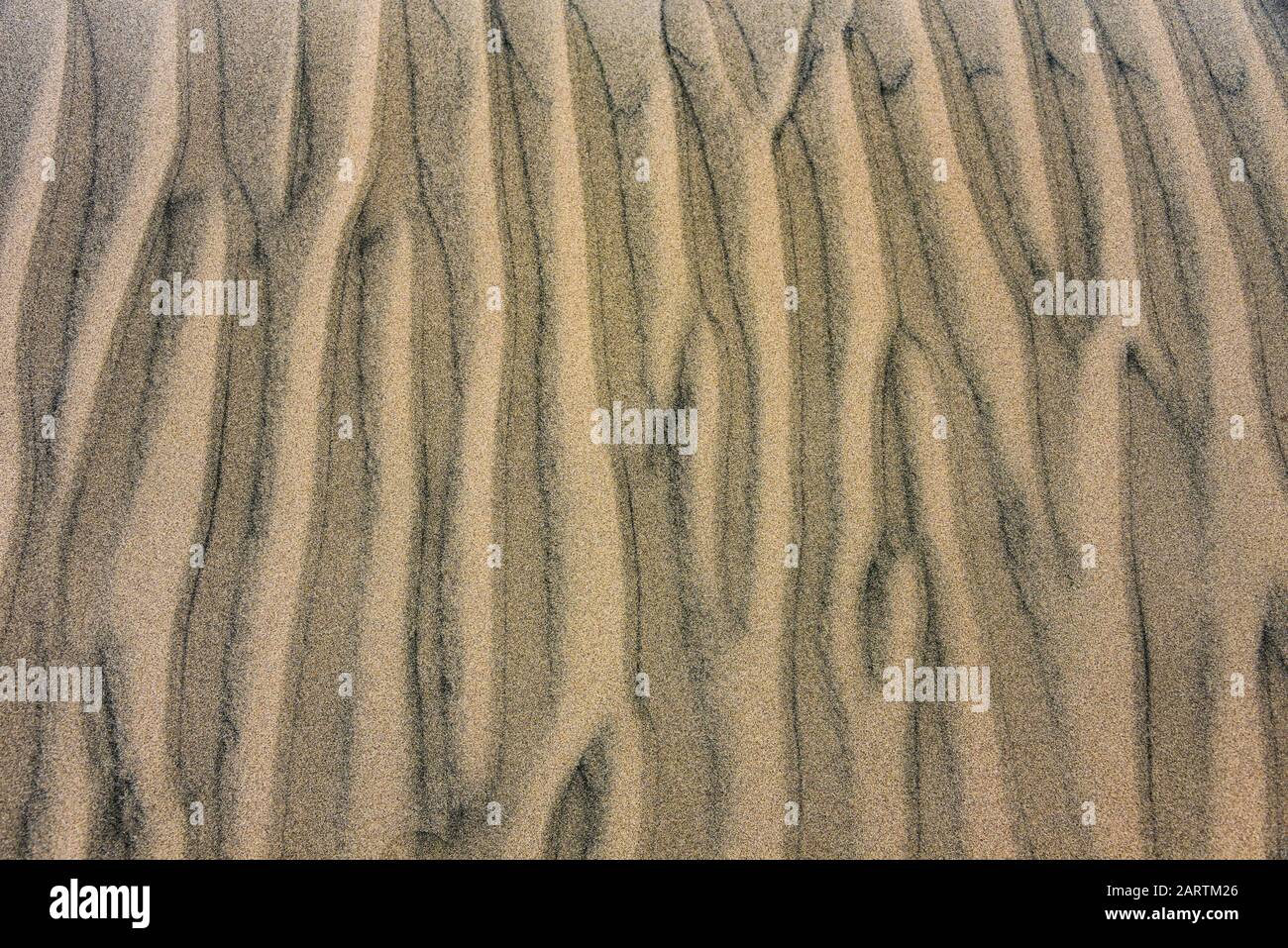 Landscapes and sand dunes in the Nazca desert. Ica, Peru Stock Photo ...
