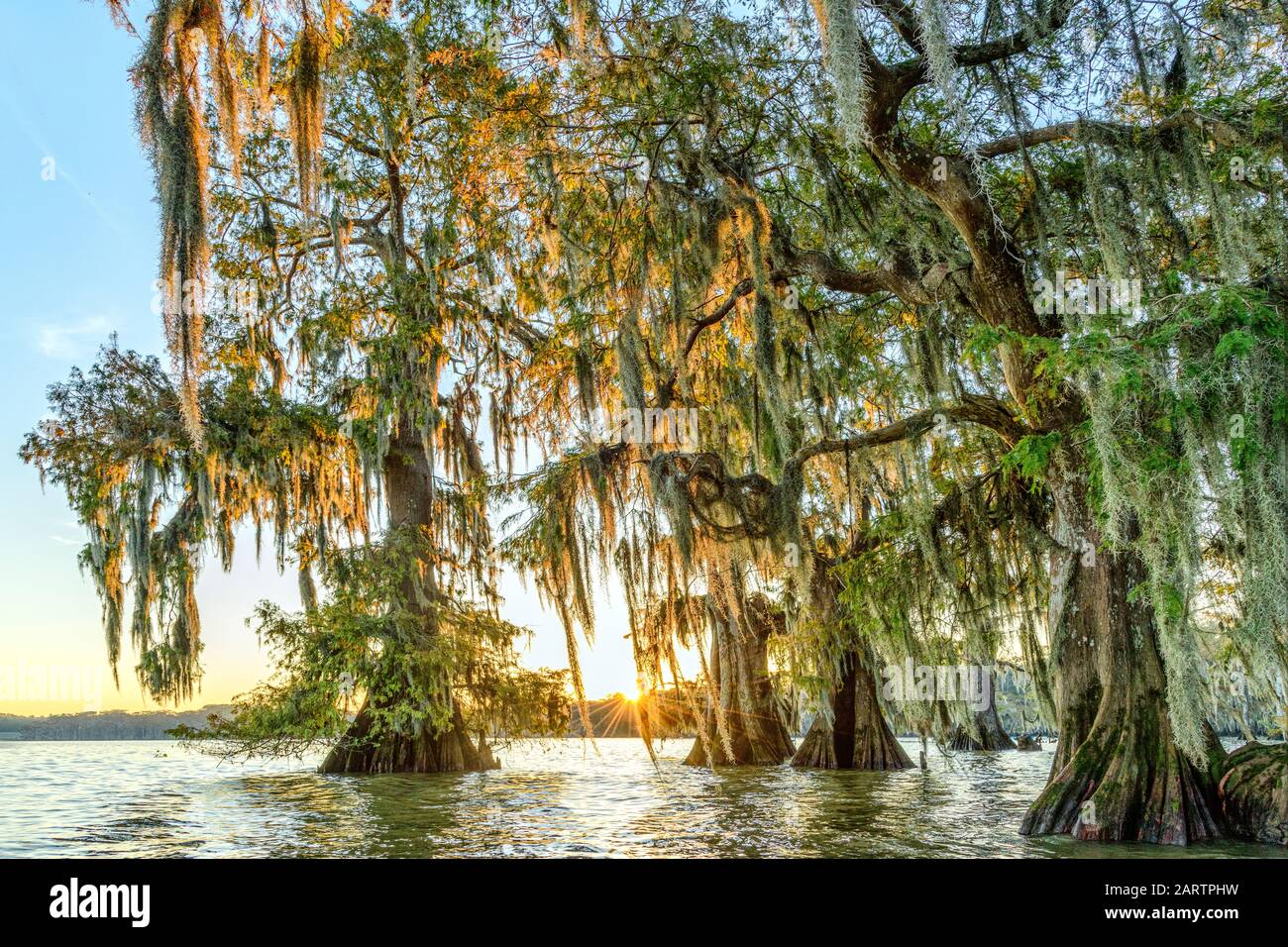 Iberia parish hi-res stock photography and images - Alamy