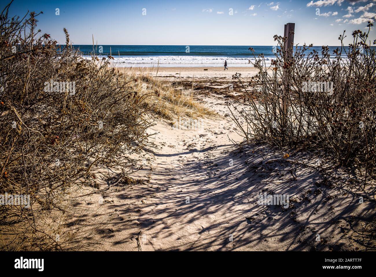 Out for a walk with her dog, this woman is walking as fast as she can ...