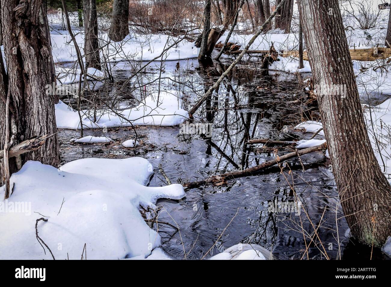 Blow Downs High Resolution Stock Photography and Images - Alamy