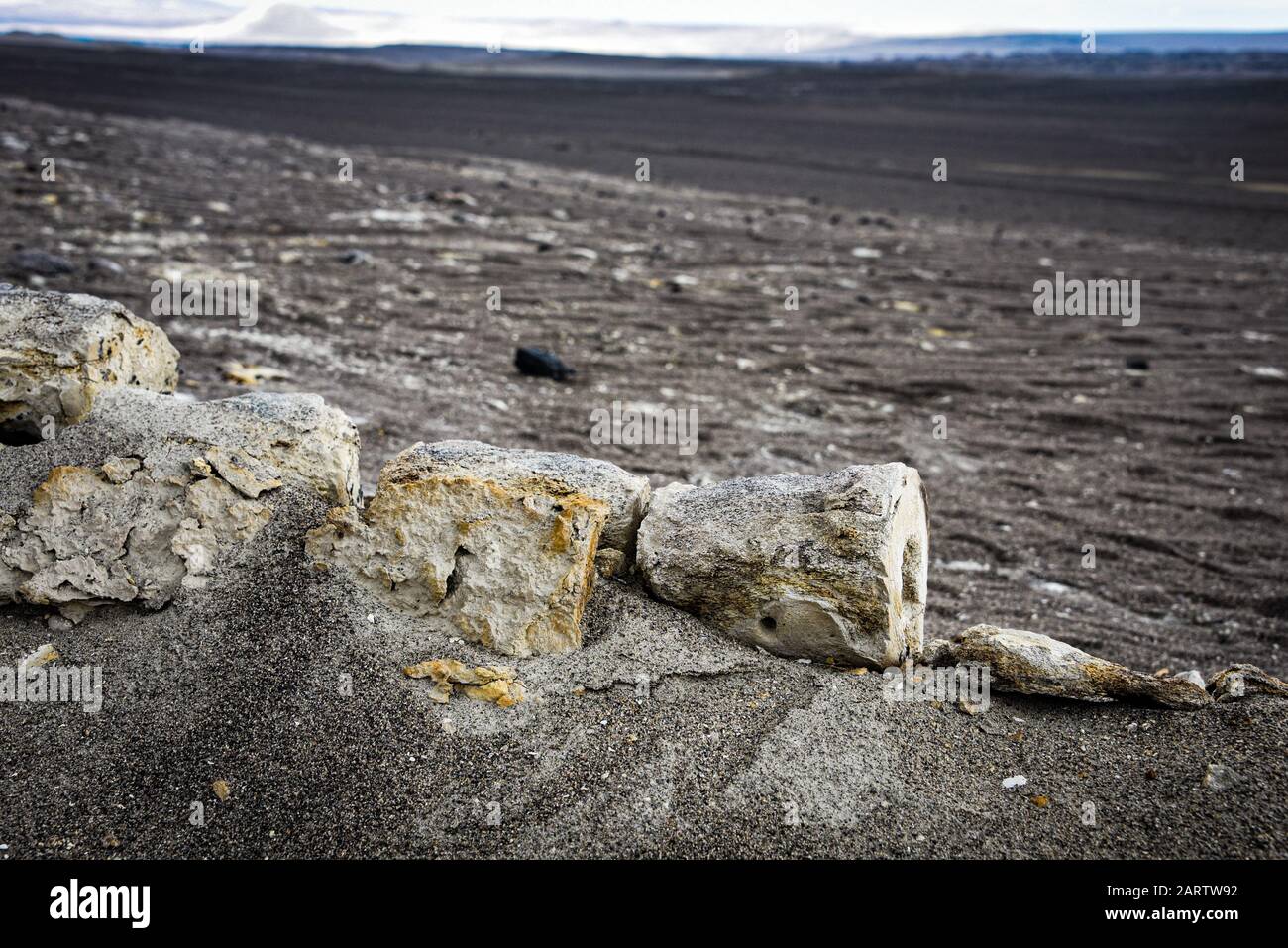 Uncovered Dinosaur bones fossilized beneath the sands in the Nazca ...