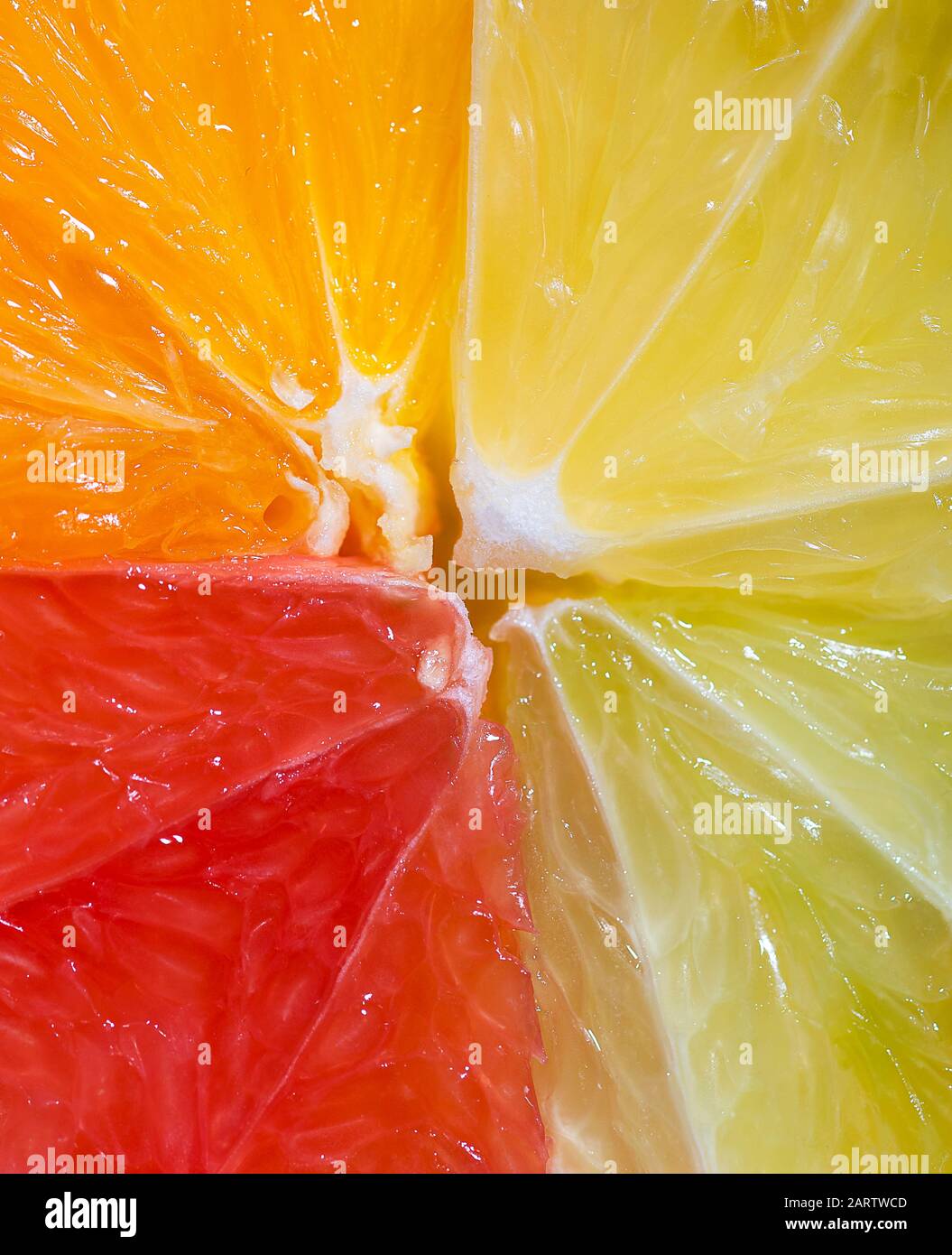 Close-up of citrus fruits section. Mix of citrus fruits macro image ...