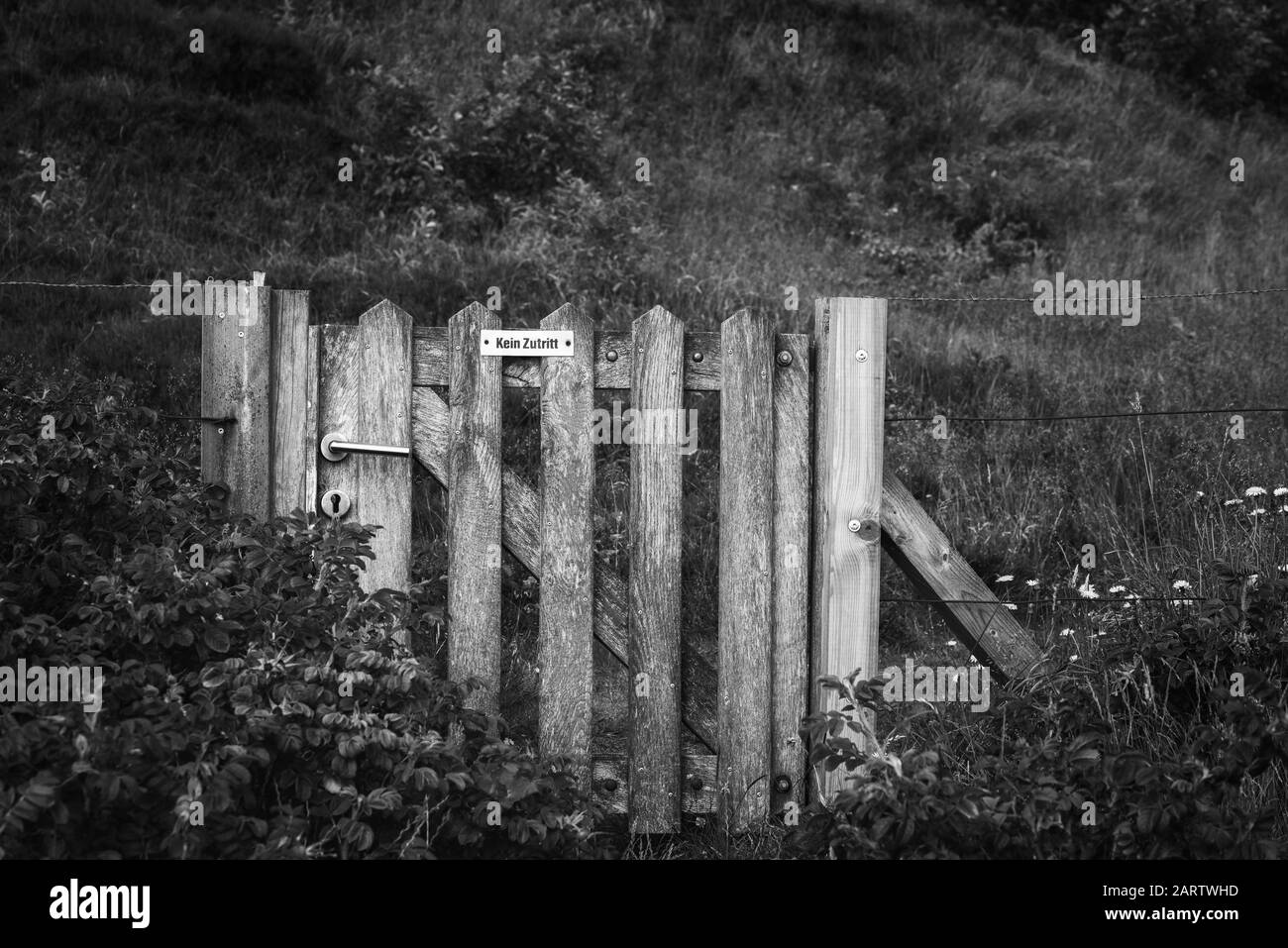 Text surrounded Black and White Stock Photos & Images - Alamy