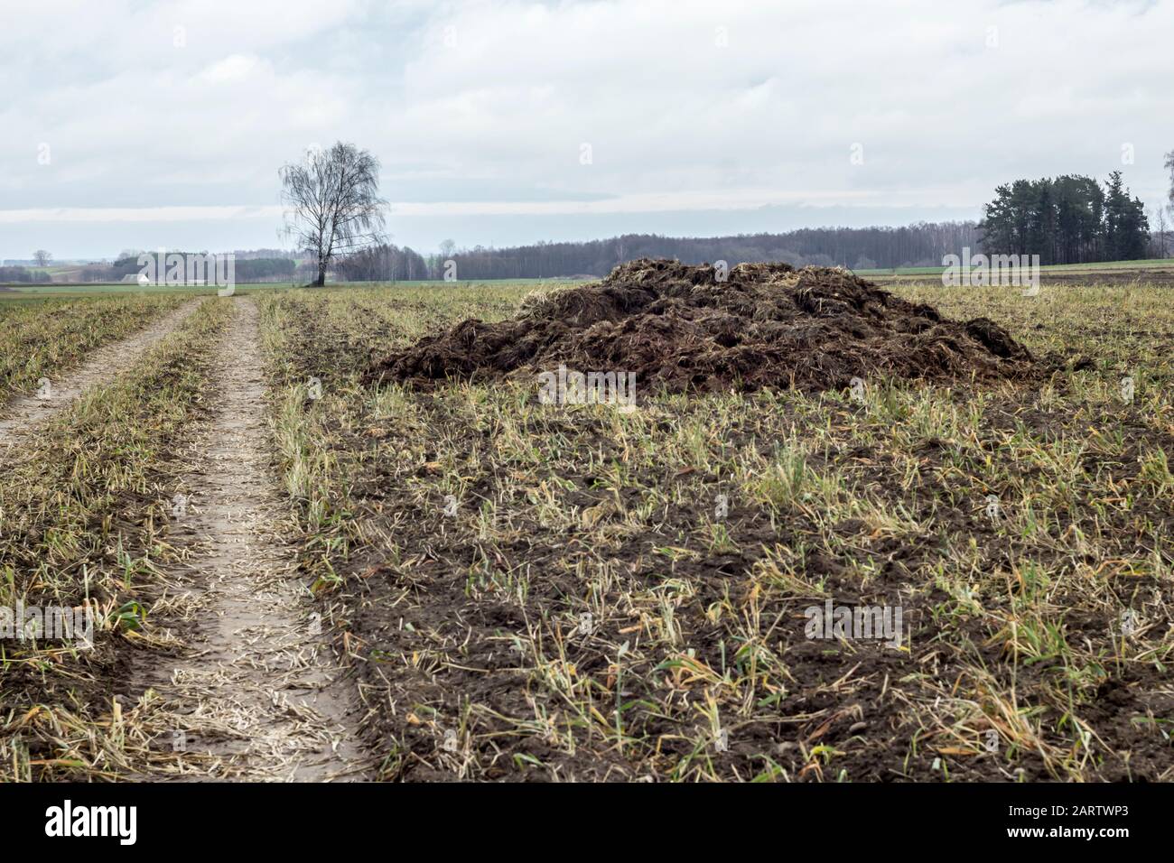 Manure pile hi-res stock photography and images - Alamy
