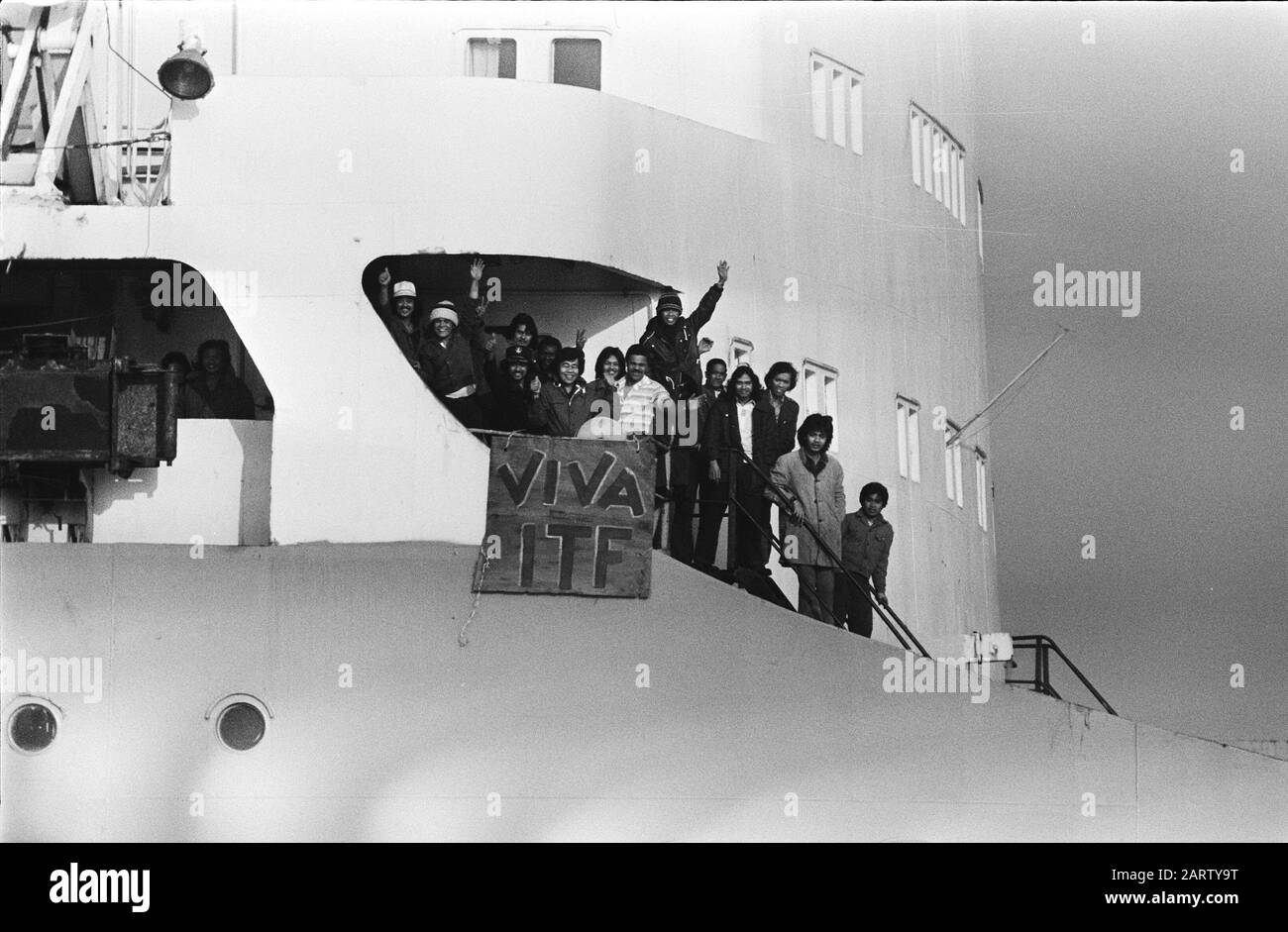 Bull carrier tropwind hi-res stock photography and images - Alamy